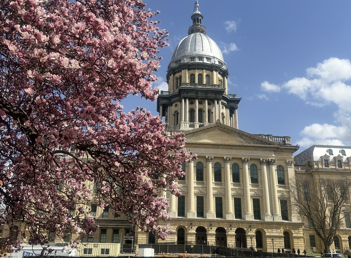 Senator Seth Lewis' May Newsletter - Senator Lewis